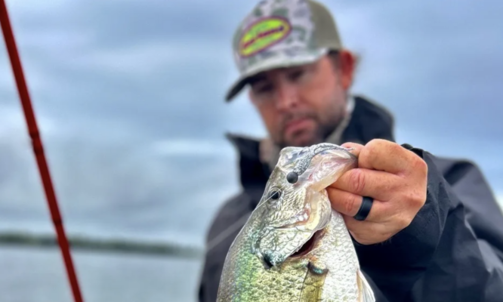 Winning Eufaula juice, TX rig your tubes, Use live crawfish? – Target ...